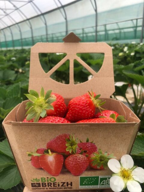 Accueil - Biobreizh, fruits et légumes Bio de Bretagne